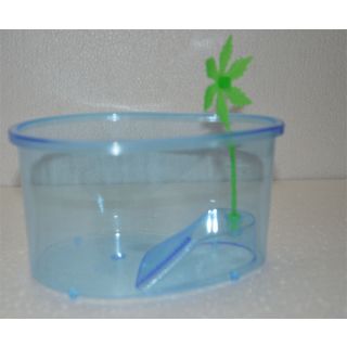 Online BEAUTIFUL PLASTIC TURTLE BOWL - SMALL TA060012 Prices ...