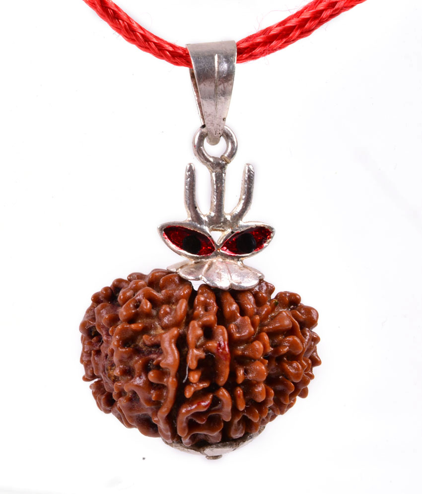 Buy Shiva Rudraksha Ratna Certified 12 Face Rudraksha Silver Pendant ...