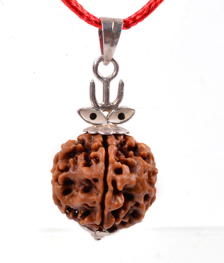 Buy Shiva Rudraksha Ratna Certified 5 Face Rudraksha Silver Pendant ...