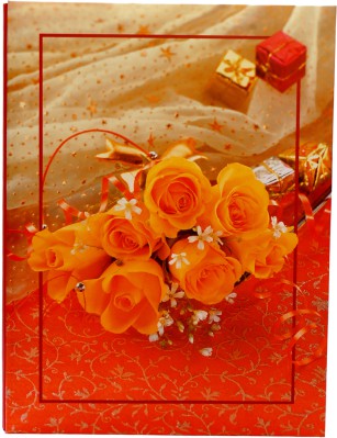 NATRAJ 4X6-300 PHOTO ALBUM