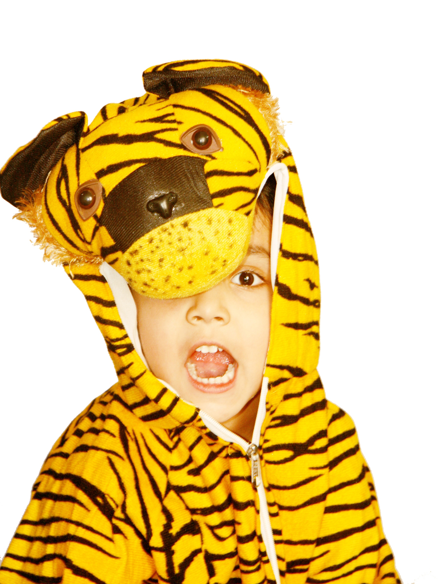 Tiger Costumes for Kids Fancy Dress Competition Small Size 4 - 7 Years