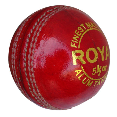 Match Level Leather Cricket Balls | White Cricket Leather balls