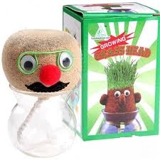 Buy Magic Funny Growing Grass Head Doll Toy Indoor Plant Decoration ...