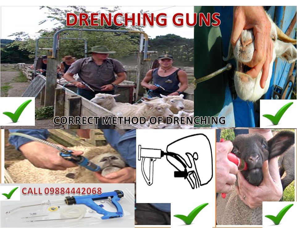 Buy Drenching Gun for Goat / Sheep Dairy Farmers Online @ ₹3500 from ...