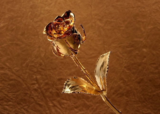 Real rose plated with 24ct Gold