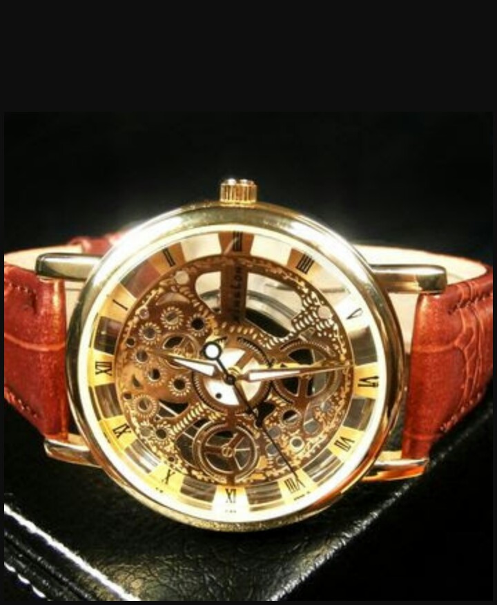Mechanical watch skeleton watch luxury style wrist watch