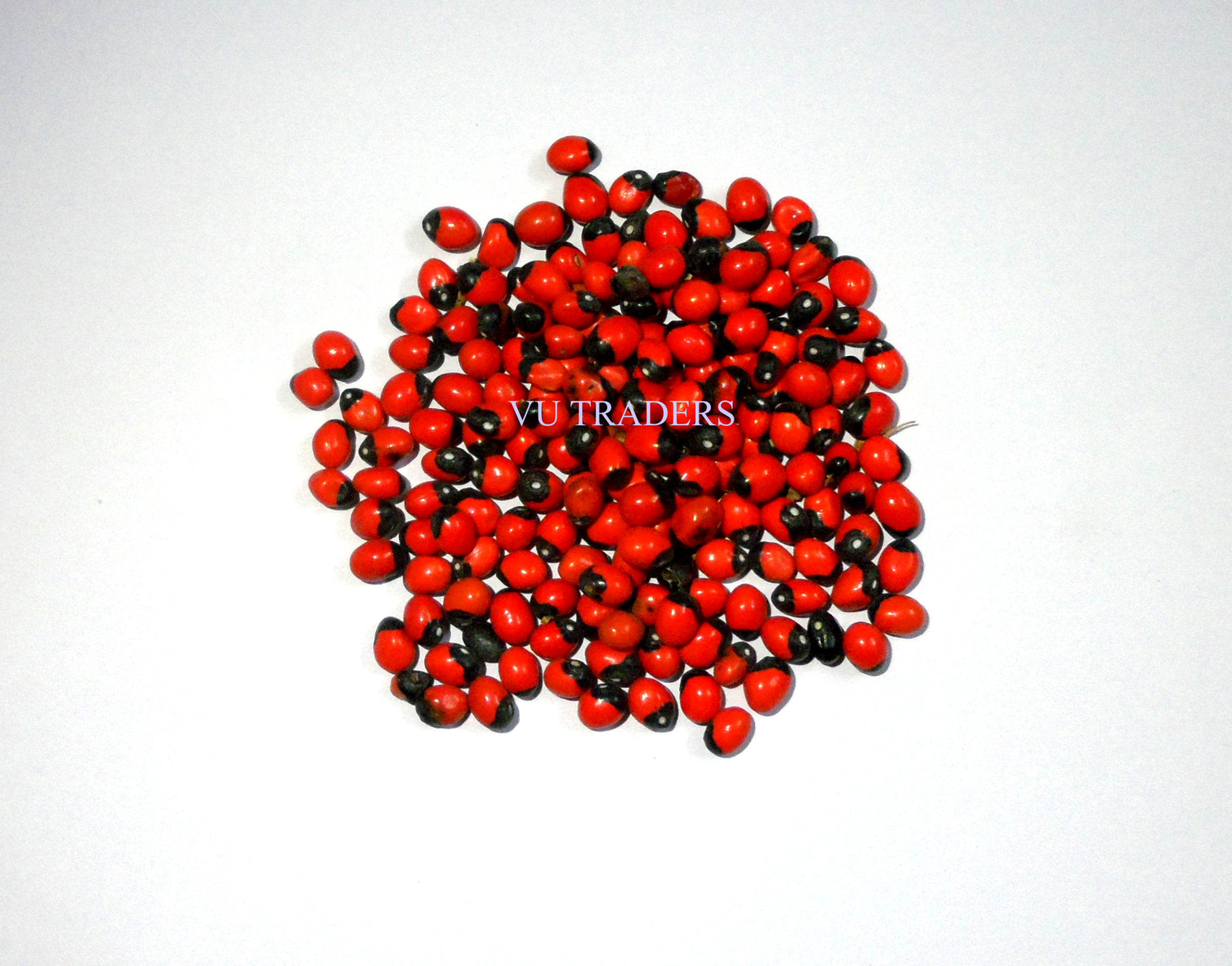 Buy NATURAL RAKT LAL GUNJA ( 21 PCS ) / RED CHIRBEADS GOONJA ...