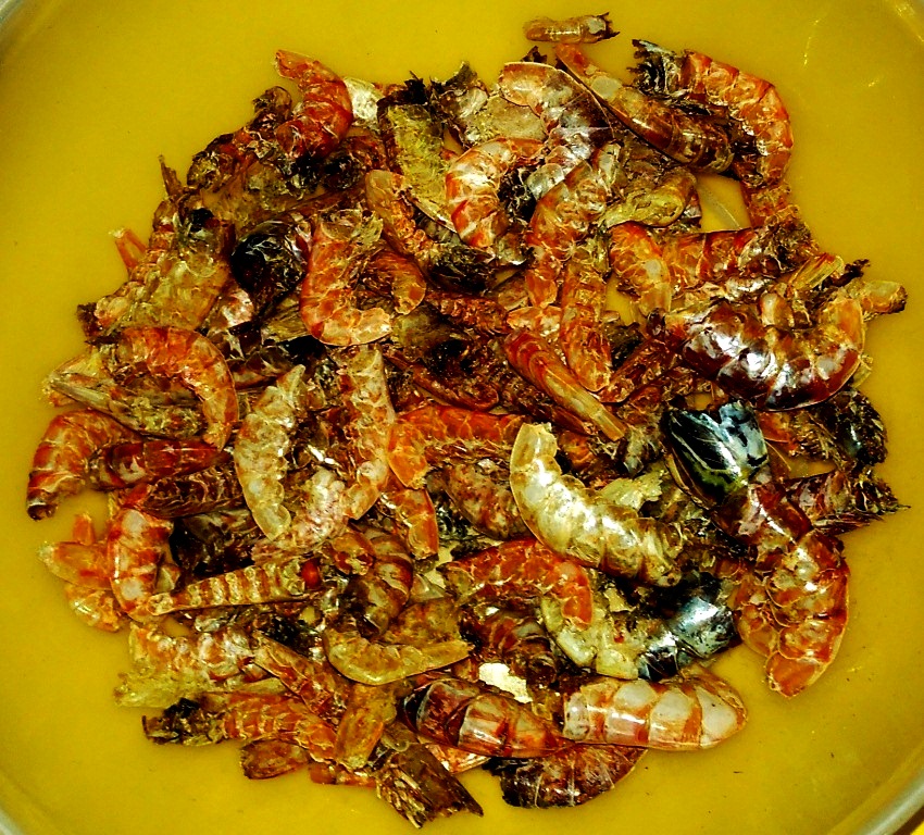 Buy DRY PRAWNS-DRY SHRIMP-LARGE SIZE-250 grams- head ,tail. legs ...