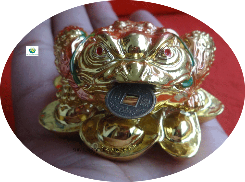 Buy coin frog/gold polish/money attractive frog Online- Shopclues.com
