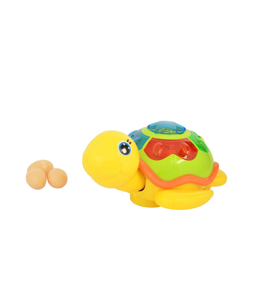 Buy Battery Operated Musical Egg Laying Tortoise ( Music And Lightning ...
