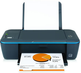 HP 2010 K010a Deskjet Printer