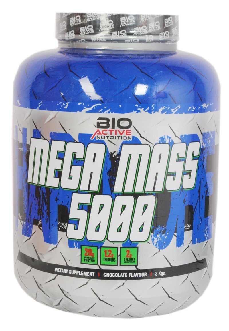 Buy Bio Active Nutrition Hardcore Mega Mass 5000 - 3Kg + One Shaker ...