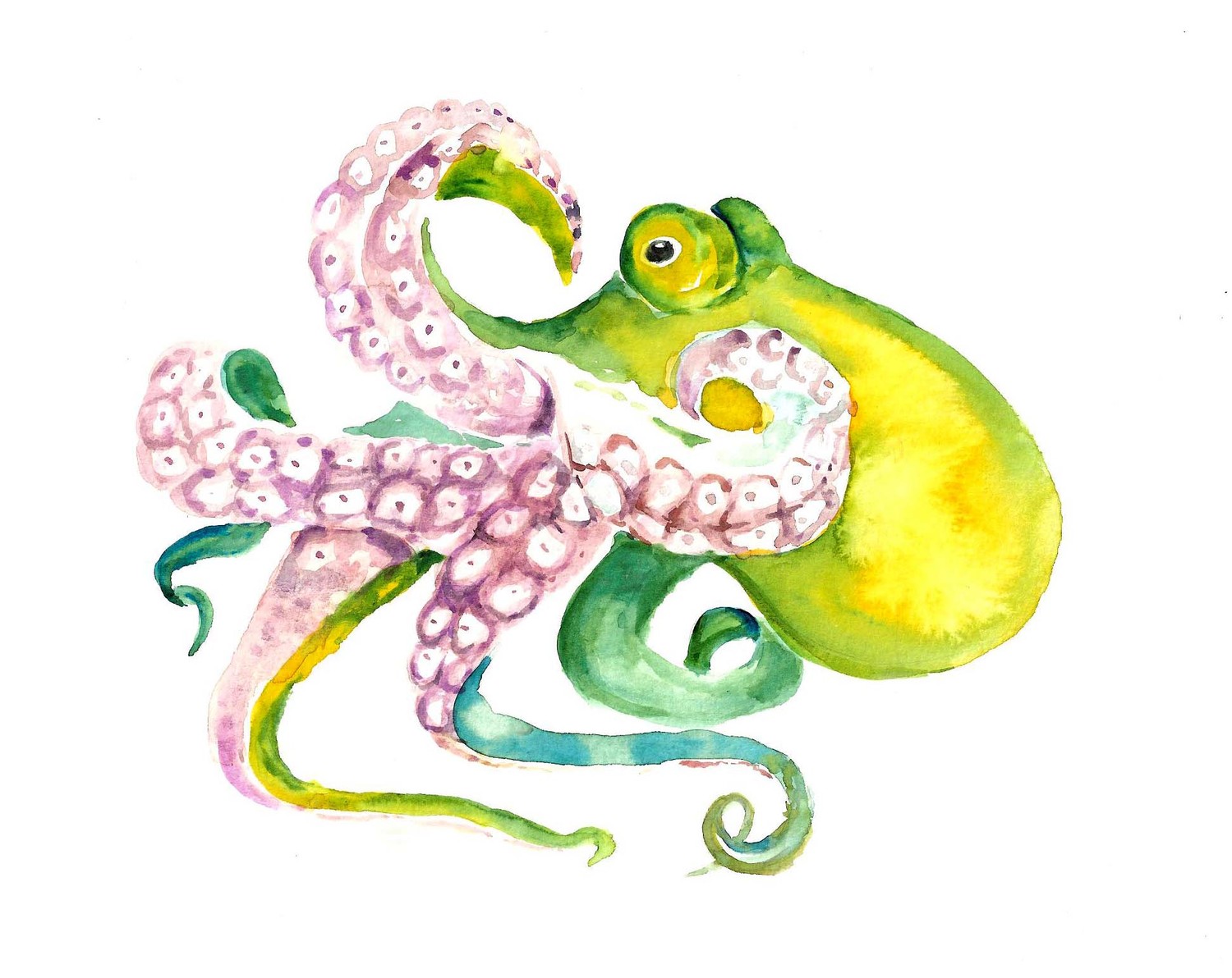 Buy Tallenge Art For Kids - Giant Green Octopus - A3 Size Rolled Poster ...