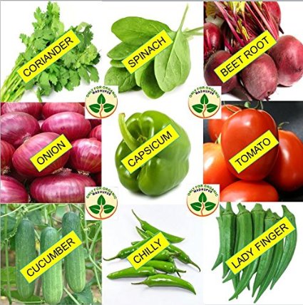 Buy Seeds-Only For Organic ! Combo Of Nine Kitchen Garden Hybrid ...