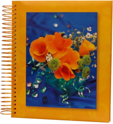 Buy 30 Sheet 11 X 13 inch Album(Photo Size Supported 3 X 5, 4 X 6, 5 X ...
