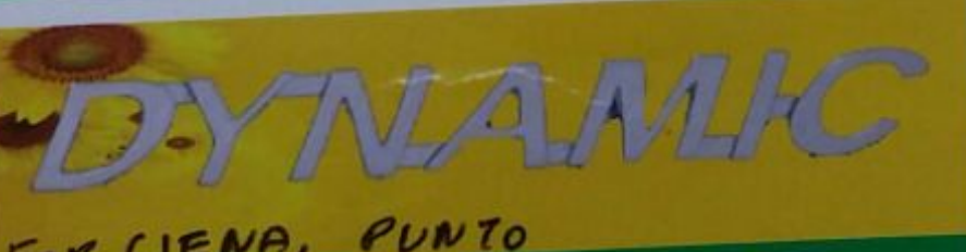Buy FIAT PUNTO LINEA DYNAMIC ACTIVE CAR MONOGRAM FRONT GRILL LOGO ...