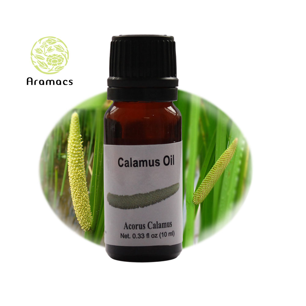 Buy Calamus Essential Oil Pure and Natural Therapeutic Grade 10 ML ...