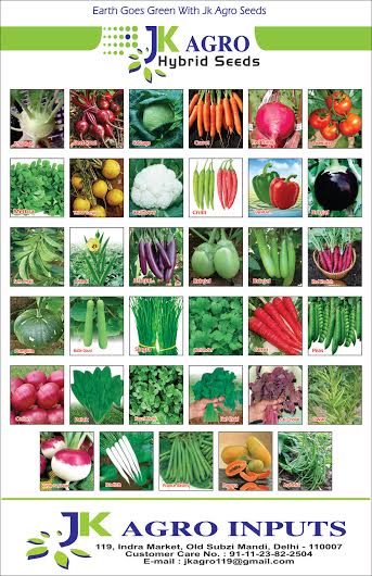 Buy KITCHEN GARDEN PACKETS OF VEGETABLE SEEDS BY J.K. AGRO INPUTS (PACK ...