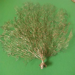 Buy IndraJal -For Remove Various Obstruction Enemy Fear Etc Online ...