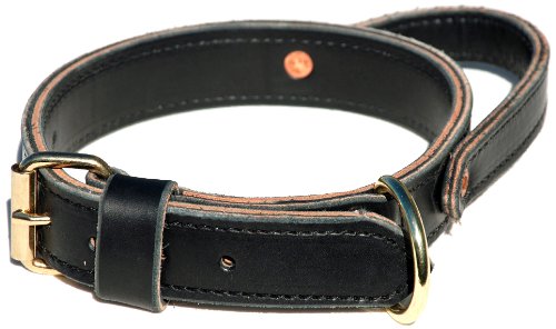 Buy Signature K9 Mil Spec Agitation Collar with Handle, 1-1/4-Inch ...