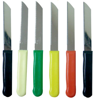 6 Pcs Knife Set | Buy Online at shopclues.com