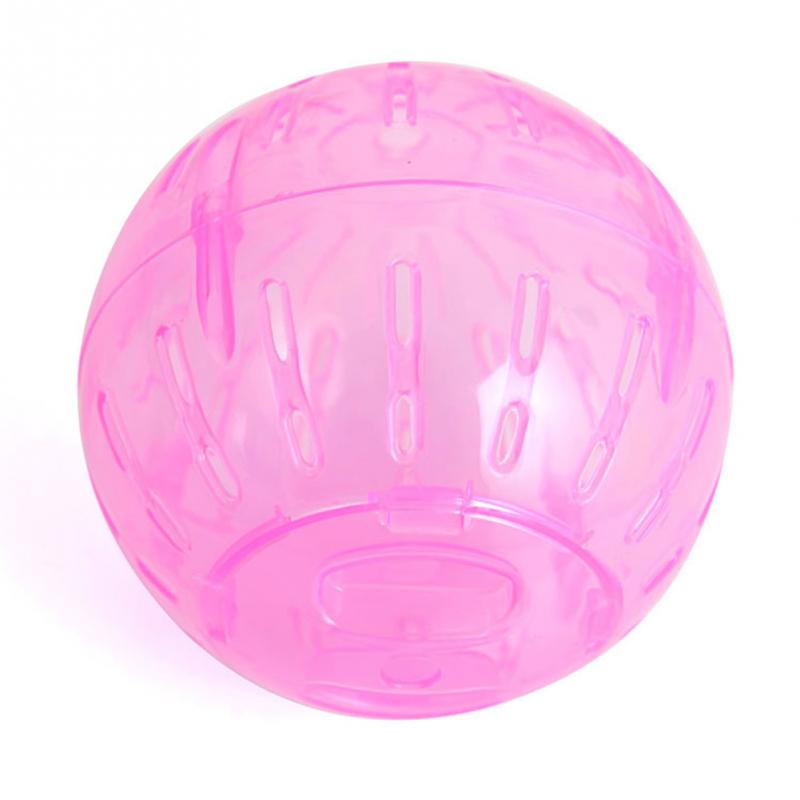 Buy 14.5 cm Transparent Running cum exercise Ball For Hamster / Dwarf ...