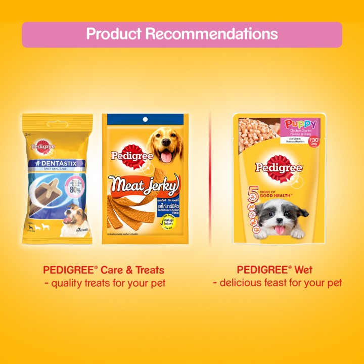 Buy Pedigree (Puppy - Dog Food) Chicken Milk, 400 Gm Small Pack (Treats ...