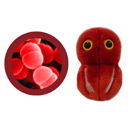 Buy Giant Microbes Flesh Eating (Streptococcus pyogenes) Plush Toy ...