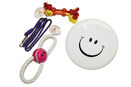 Buy Everlast Pet Toys Best Chew & Squeak Bundle For Dogs Smiley Face ...