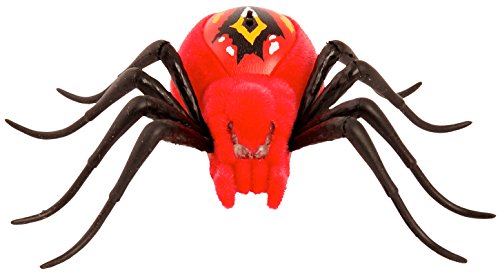 Buy Wild Pets Spider - Eyegore Online @ ₹2351 from ShopClues