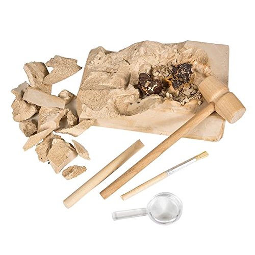 Buy Dinosaur Poop Toy Excavation Dig Kit Online @ ₹2861 from ShopClues