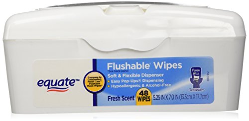 Buy Equate Flushable Wipes in Soft Flexible Dispenser - Fresh Scent ...