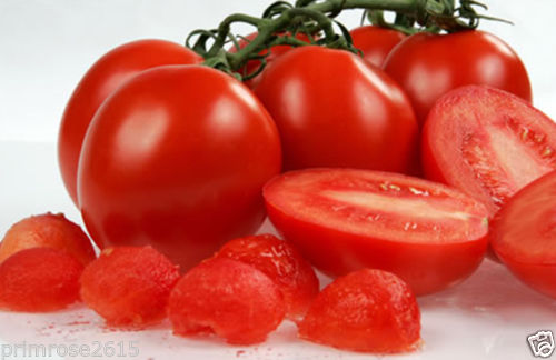 Buy Hybrid Tomato Seeds Pusa Early Dwarf Vegetable Seed - 50+ Seeds ...
