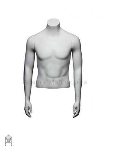 Buy Adam's Mannequins Male Torso Mannequin MT06 Online @ ₹7418 from ...