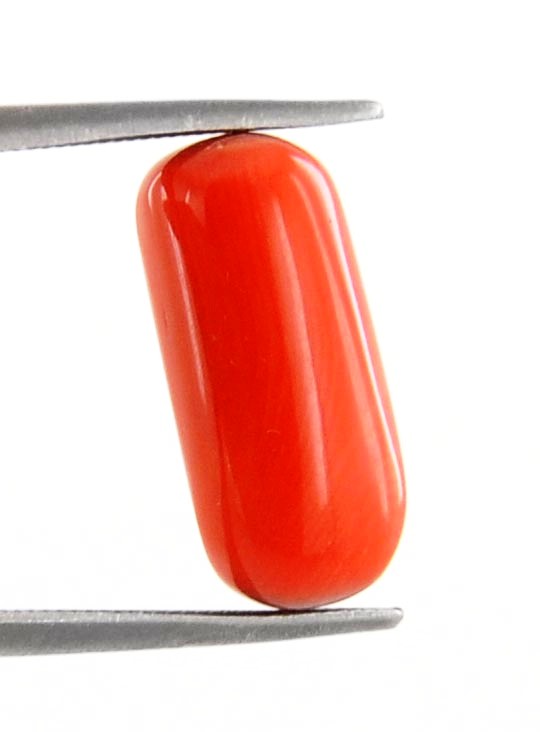 Buy Malabar Gems Italian Red Coral / Moonga 9 Ratti Premium Quality Lab ...