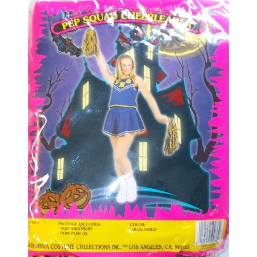 Buy CaliforniaCostumes Pep Squad Cheerleader Blue Gold Child S NIP ...