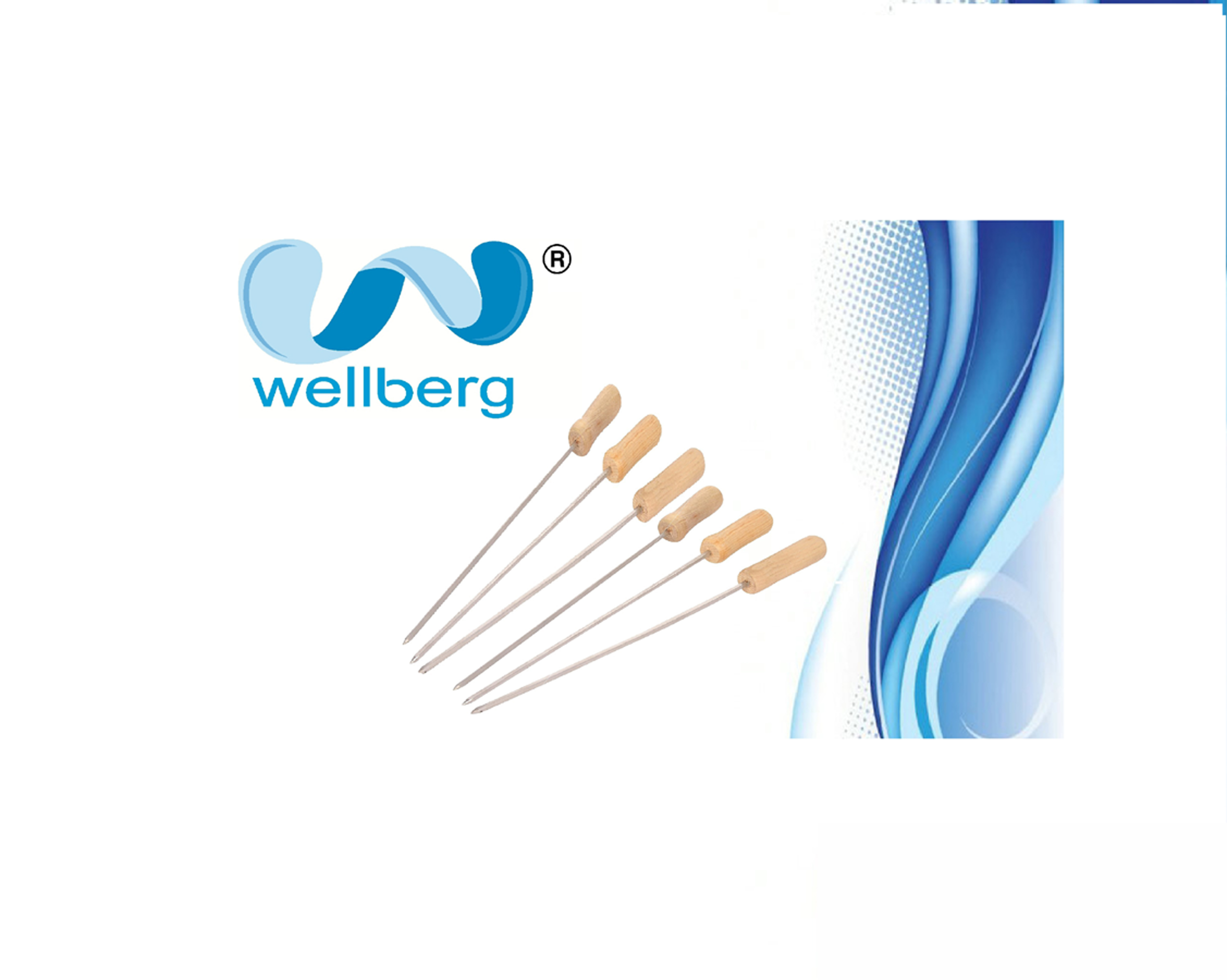 Buy wellberg premium BBQ Skewers, Stainless Steel Skewers, BBQ Grill ...