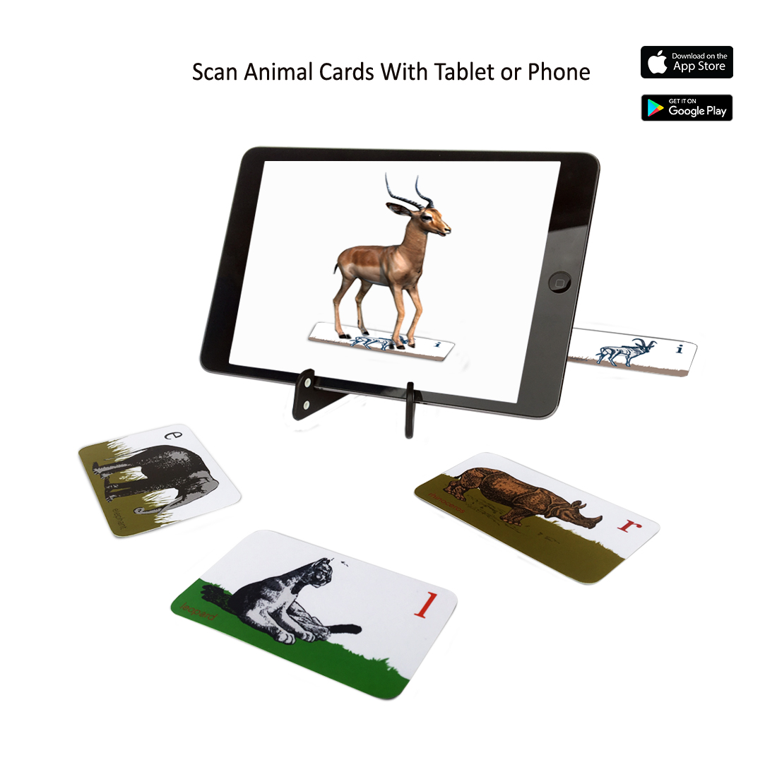 Buy Aurodo Pocket Zoo 4D - 32 Zoo Animals in 4D - Educational Play cum ...