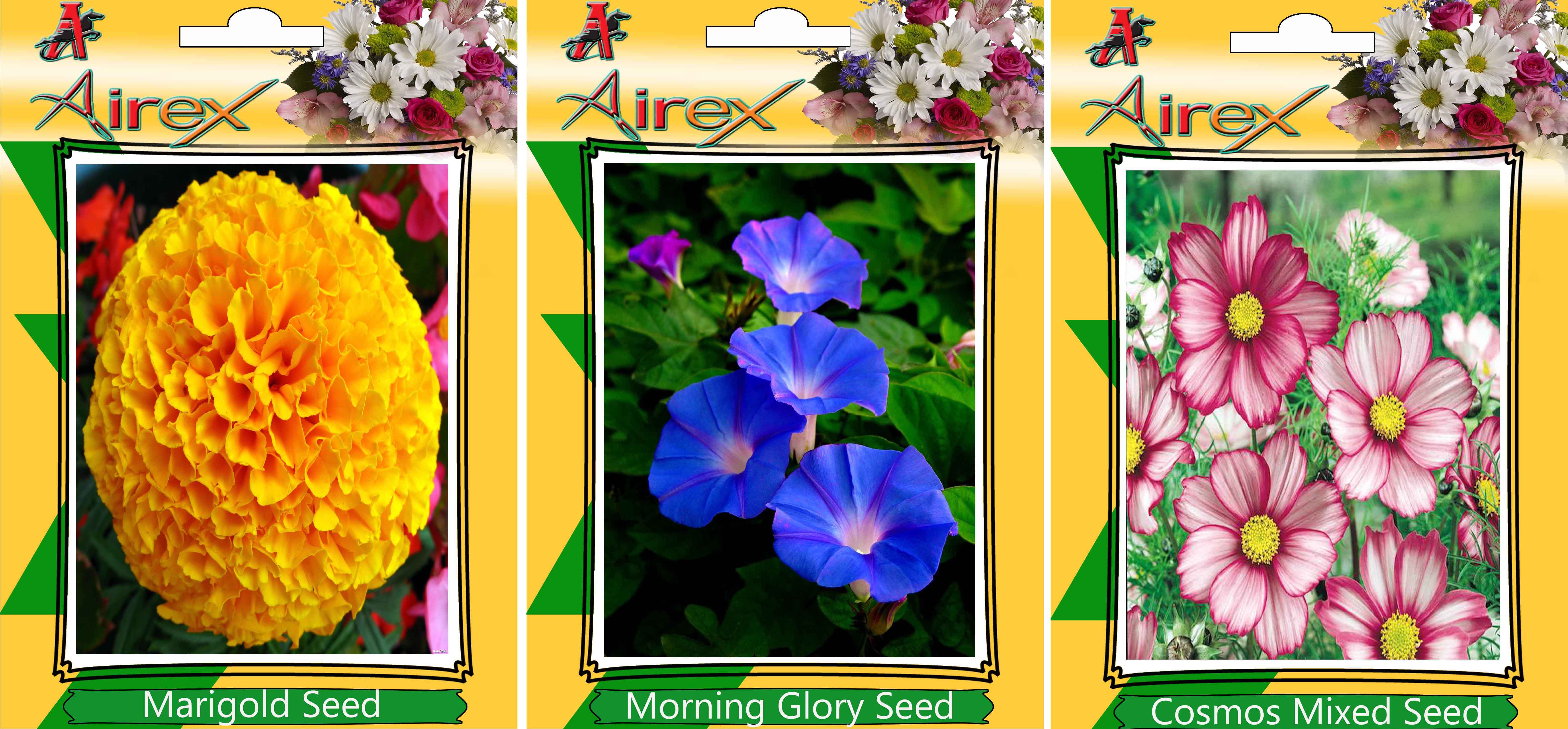Buy Flower Seed By Airex Celosia (Summer) Flower Seed (9 Packet Of ...