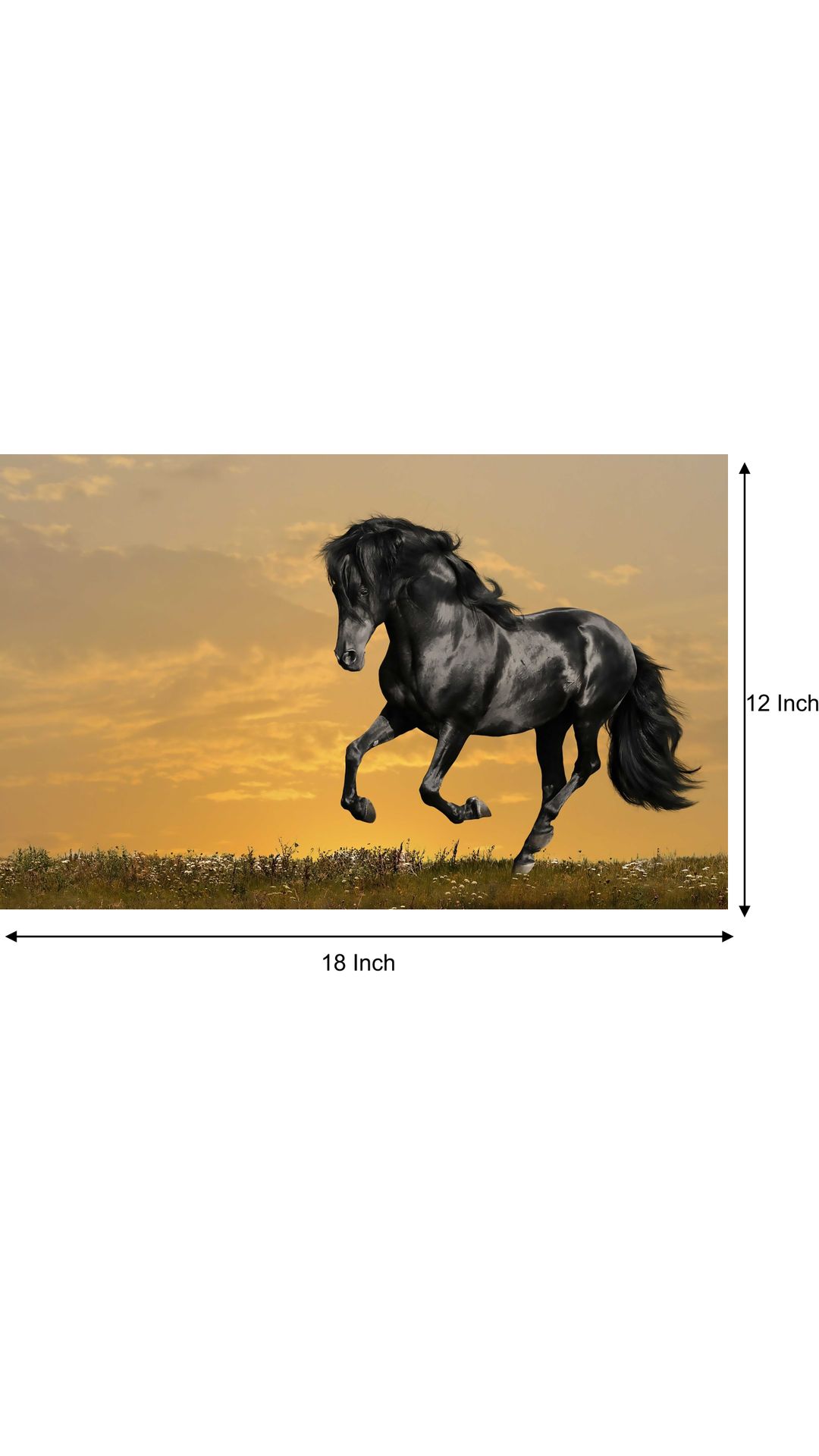 Buy Horse Poster - horse posters - running horse poster - horse wall ...