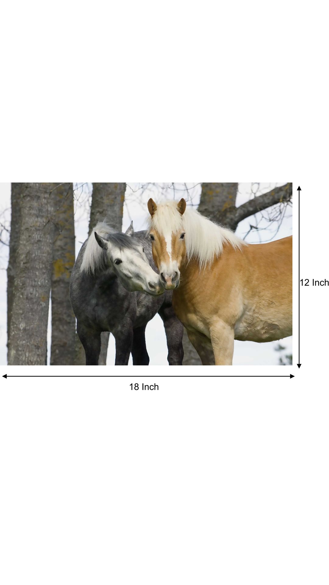 Buy Horse Poster - horse posters - running horse poster - horse wall ...