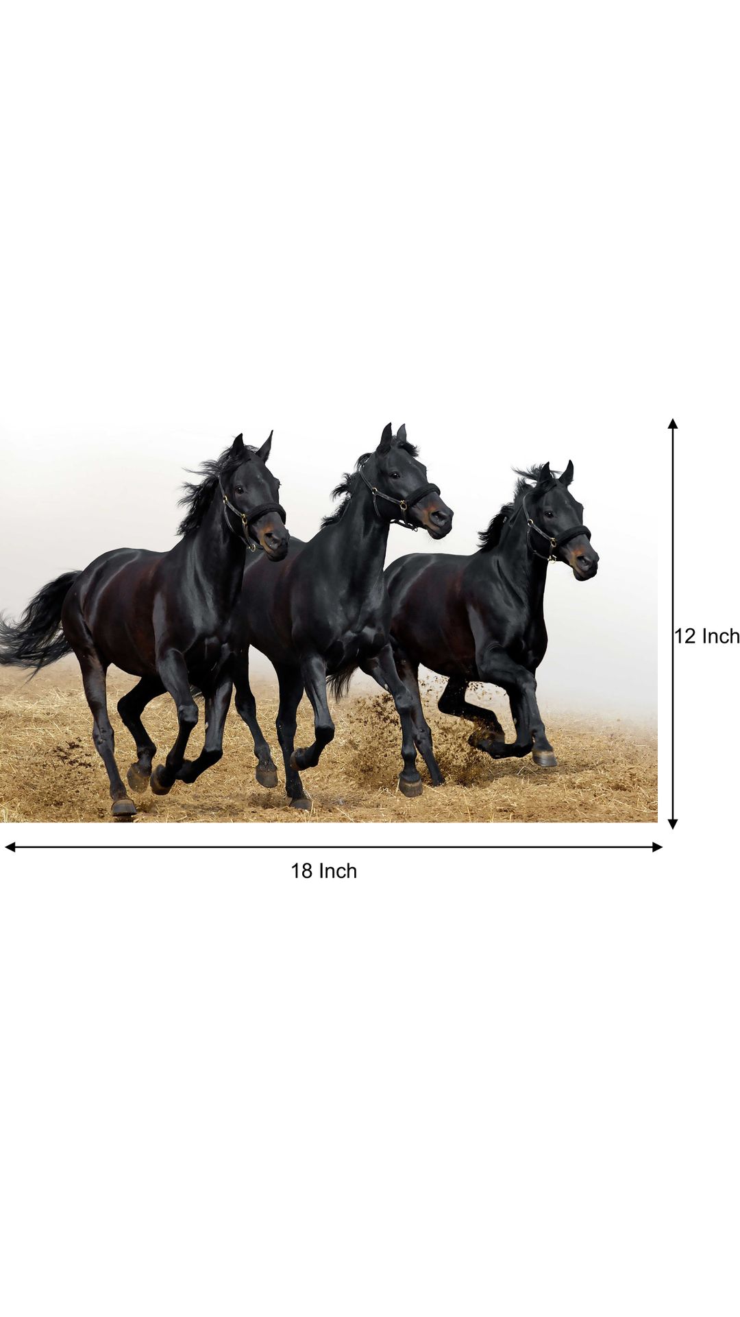 Buy Horse Poster - horse posters - running horse poster - horse wall ...