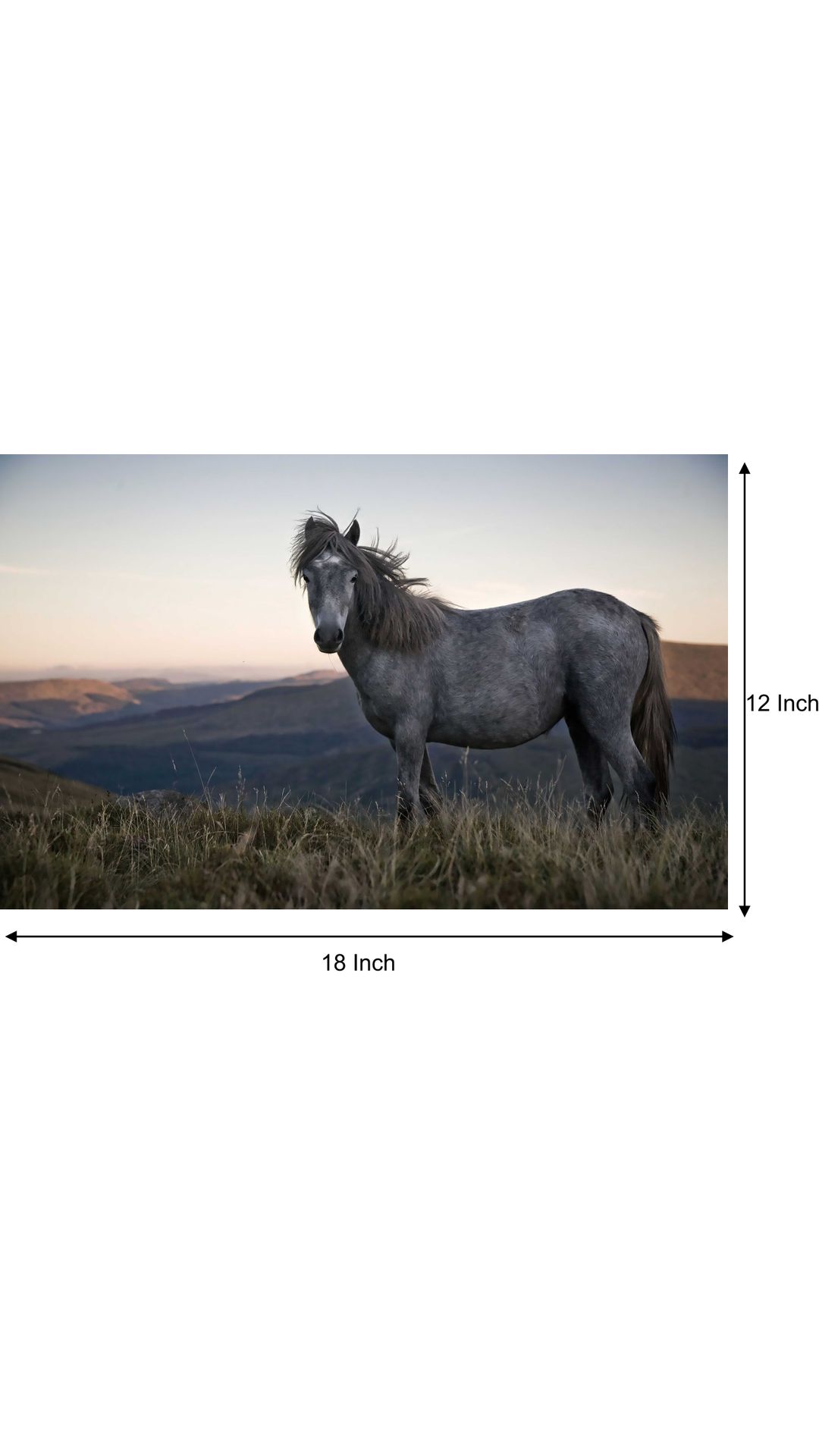 Buy Horse Poster - horse posters - running horse poster - horse wall ...