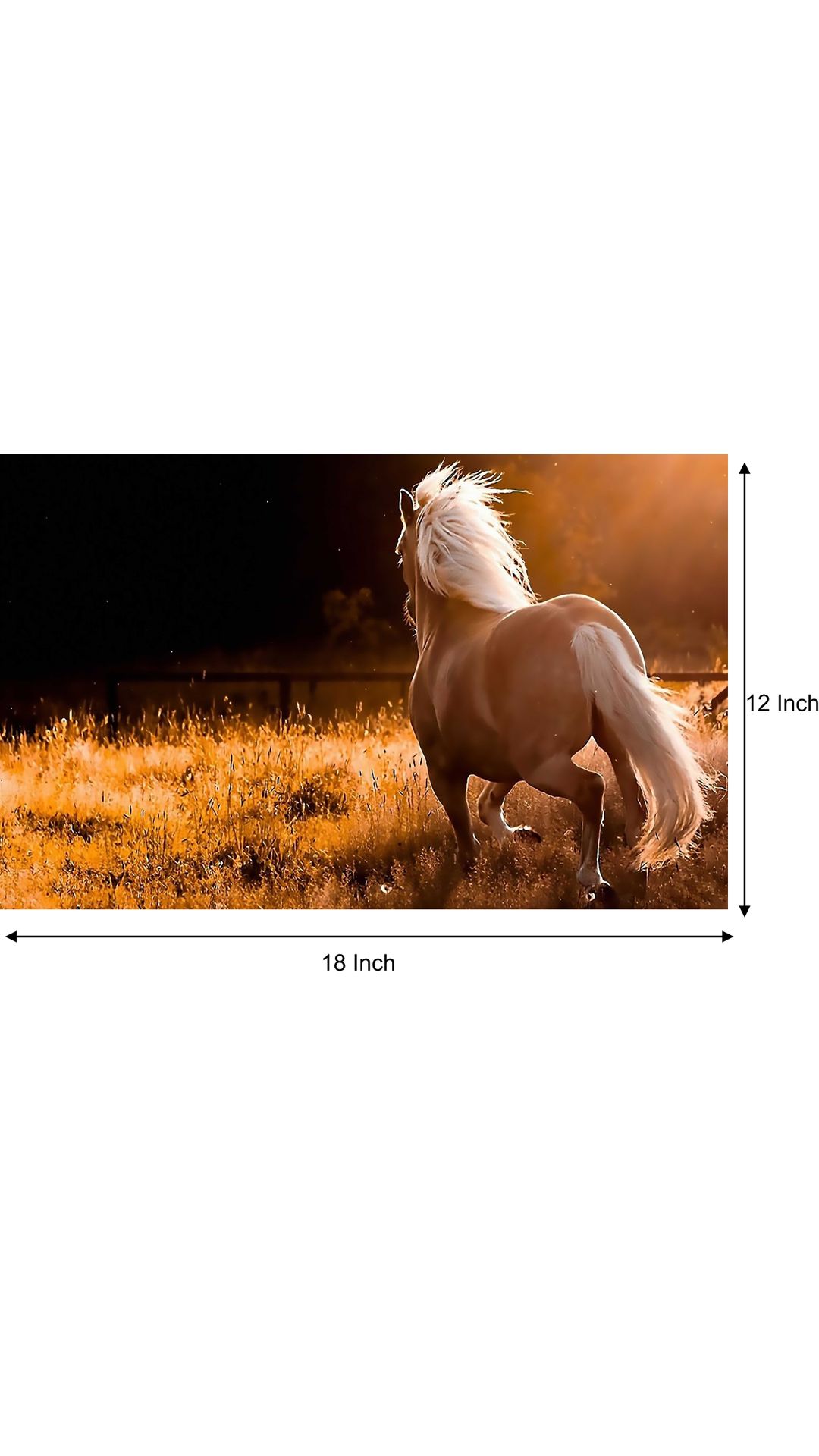 Buy Horse Poster - horse posters - running horse poster - horse wall ...