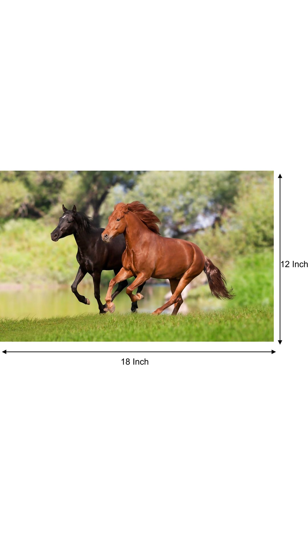 Buy Horse Poster - horse posters - running horse poster - horse wall ...