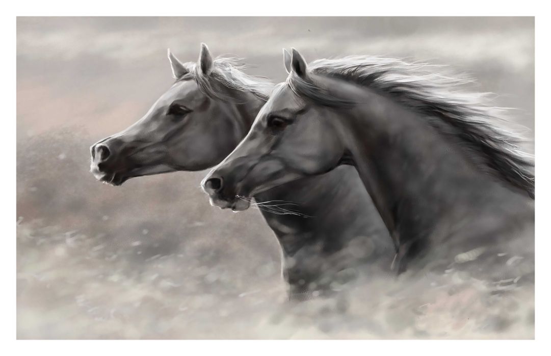 Buy Horse Poster - horse posters - running horse poster - horse wall ...