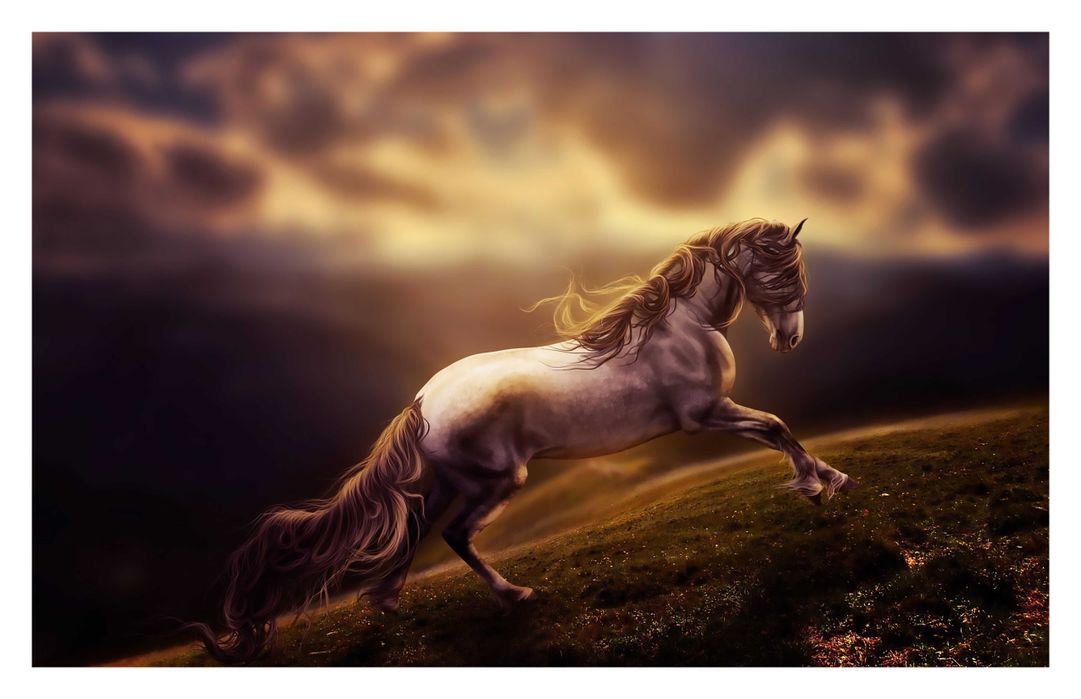Buy Horse Poster - horse posters - running horse poster - horse wall ...
