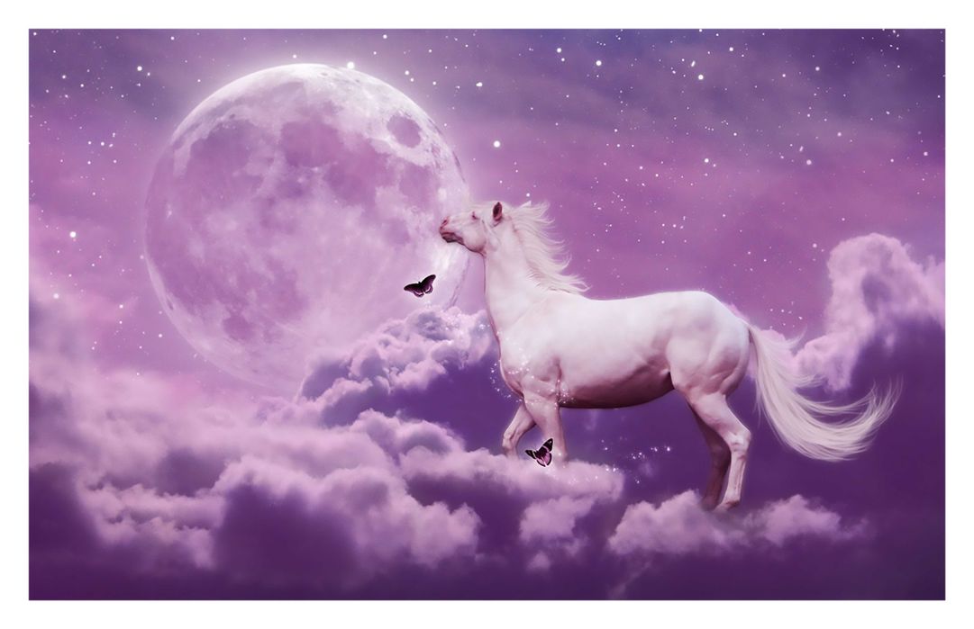 Buy Horse Poster - horse posters - running horse poster - horse wall ...