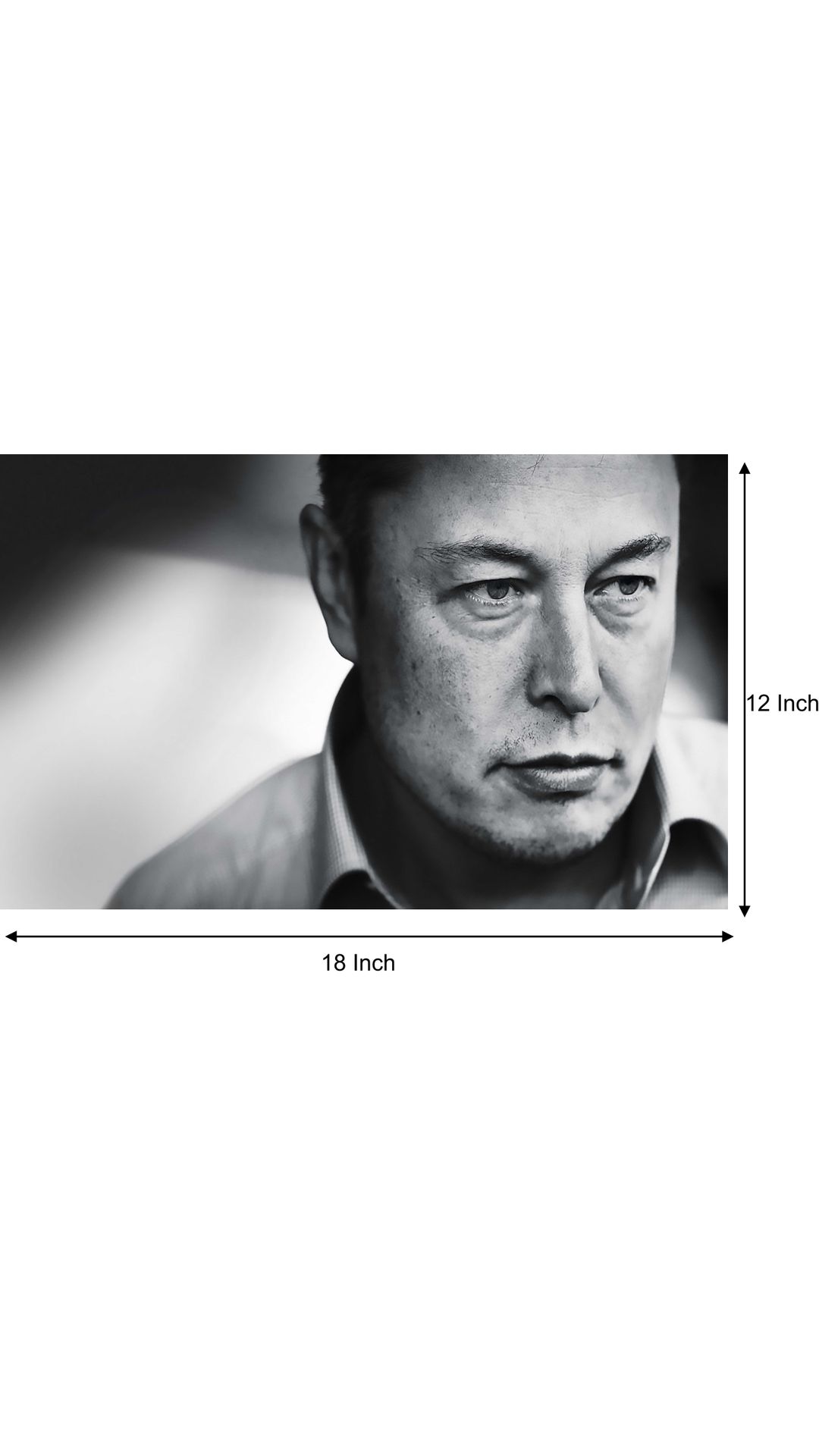 Buy Elon Musk Posters | elon musk posters | elon musk inspirational ...