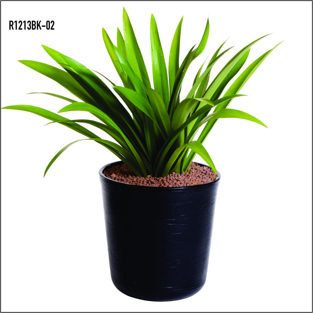 Buy Sereno Bello Plastic Flower Pot Round Planter (12 x 13) in Black ...